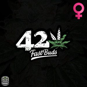 FastBuds - Gorilla Punch Auto - Buy Cannabis Seeds UK - Feminized ...